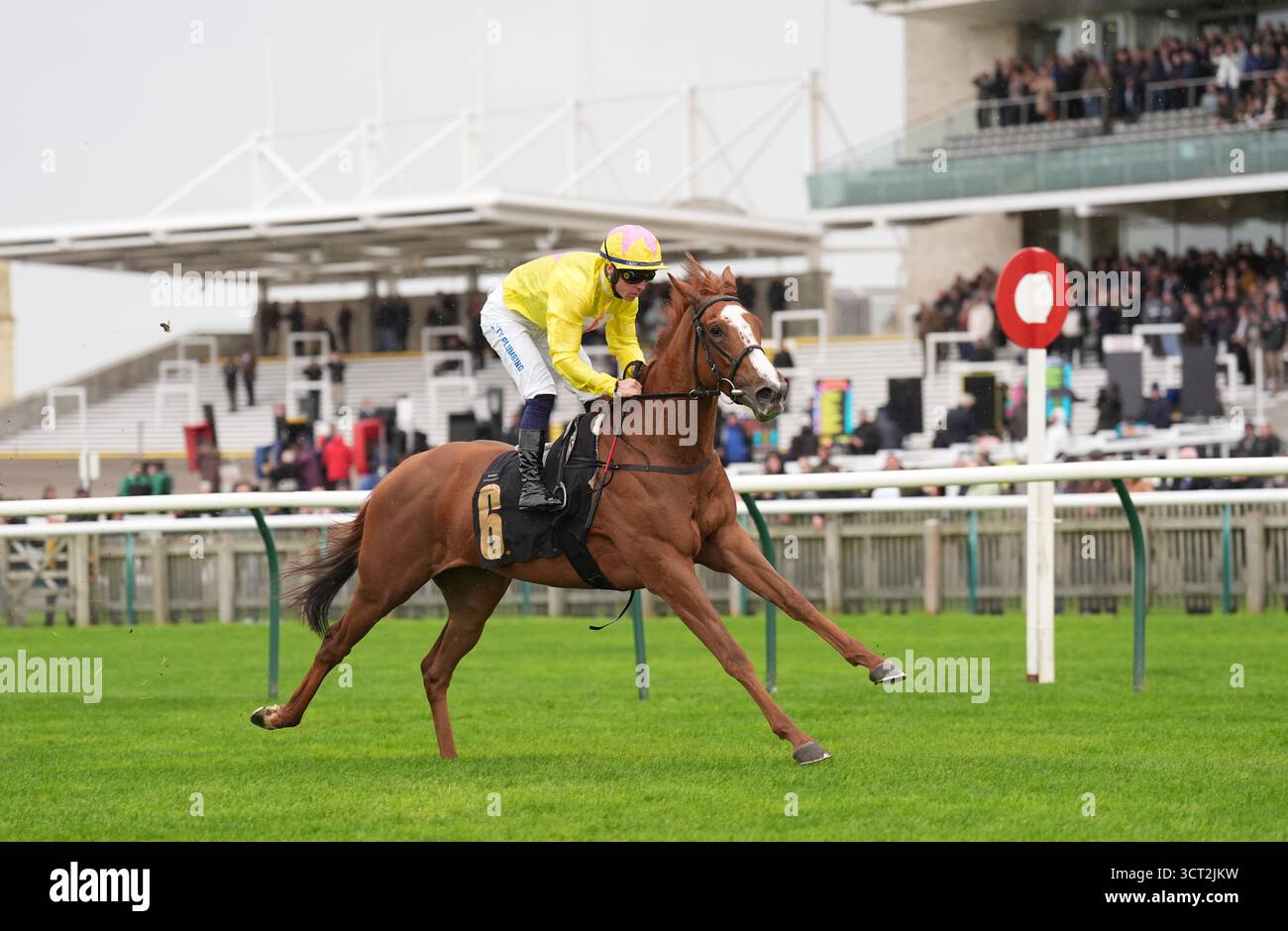Ray Dawson on Princess Rascal going on to win the British EBF Premier Fillies' Handicap at ...
