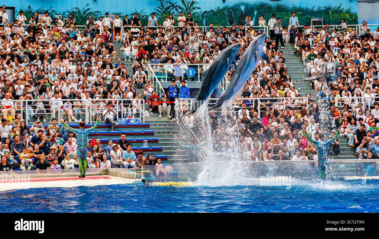 Beijing, China. 4th Oct, 2025. Tourists enjoy performance at an ocean ...