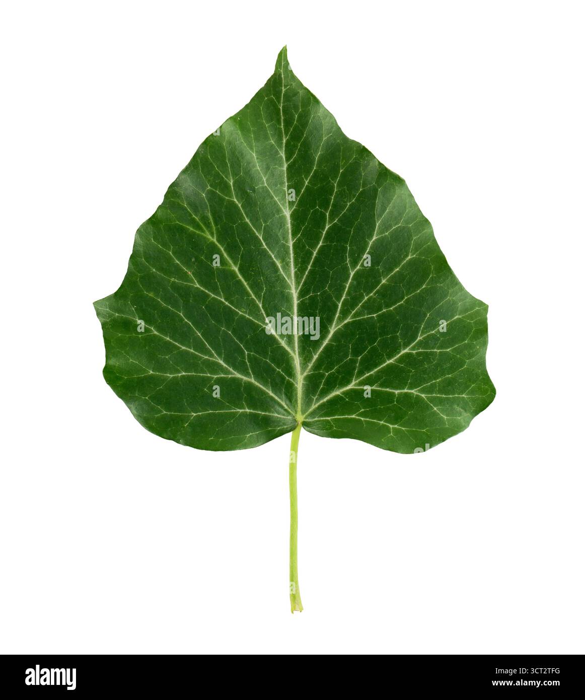 Visual displays Cut Out Stock Images & Pictures - Alamy