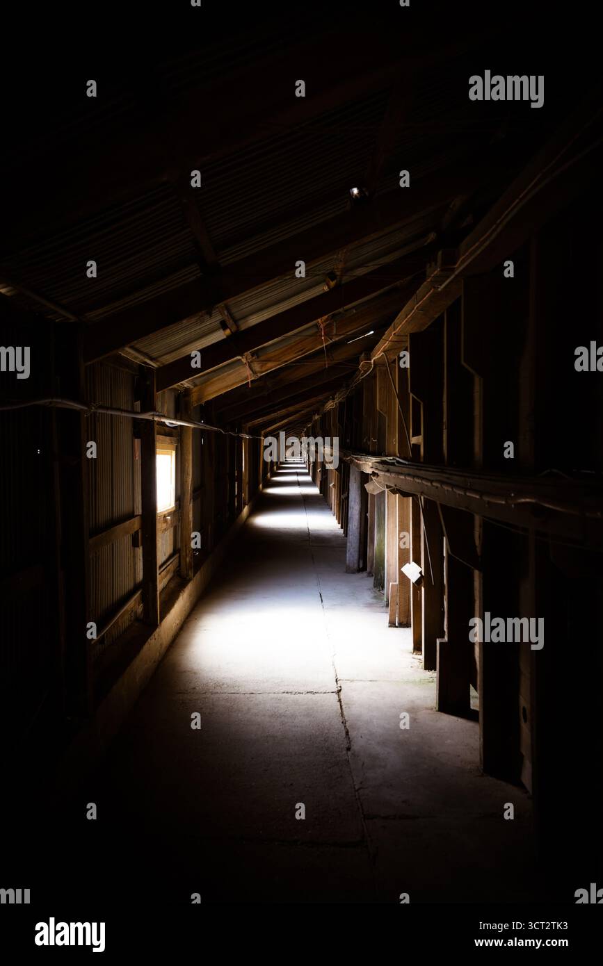 Murtoa Stick Shed in Victoria Australia Stock Photo - Alamy