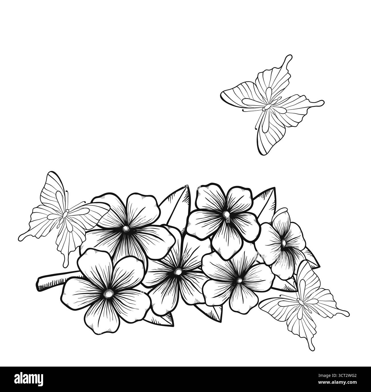 Tree branches of tree flowering Black and White Stock Photos & Images ...