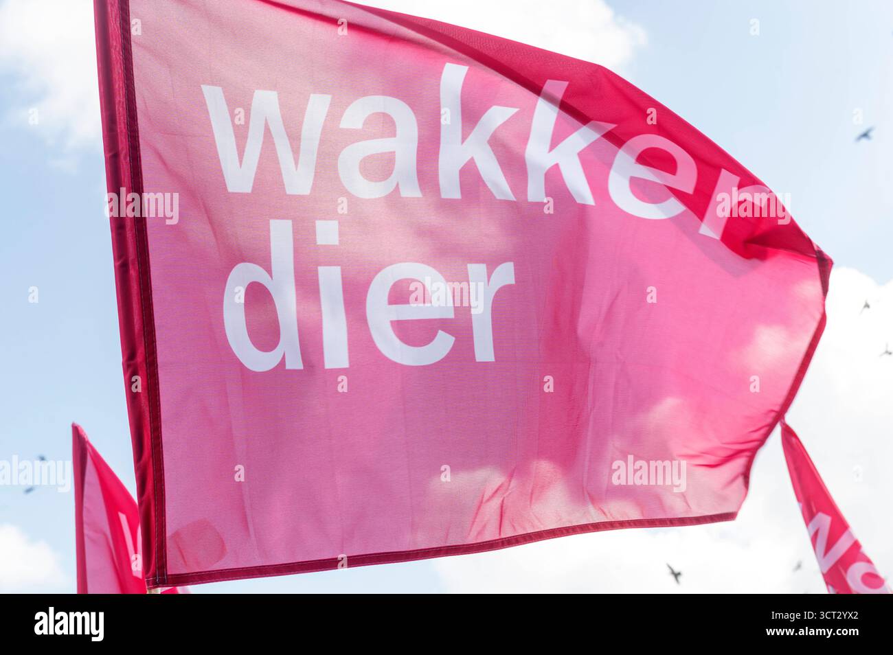 Amsterdam The Netherlands 4th October 2025 On the occasion of World ...