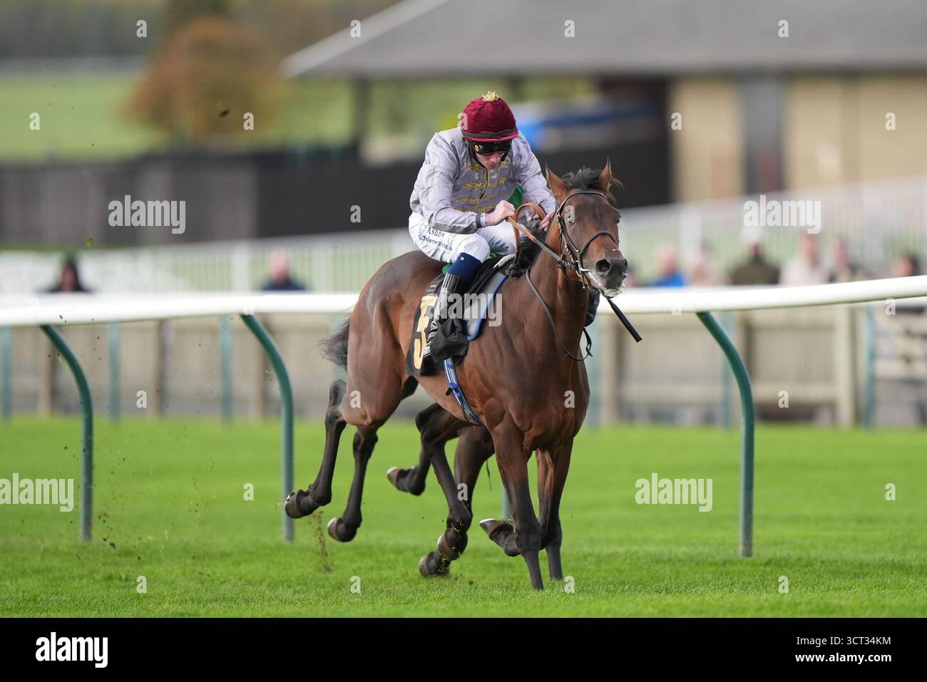 Jockey Rossa Ryan on Lyneham on their way to win the BetMGM EBF Maiden Stakes at Newmarket ...