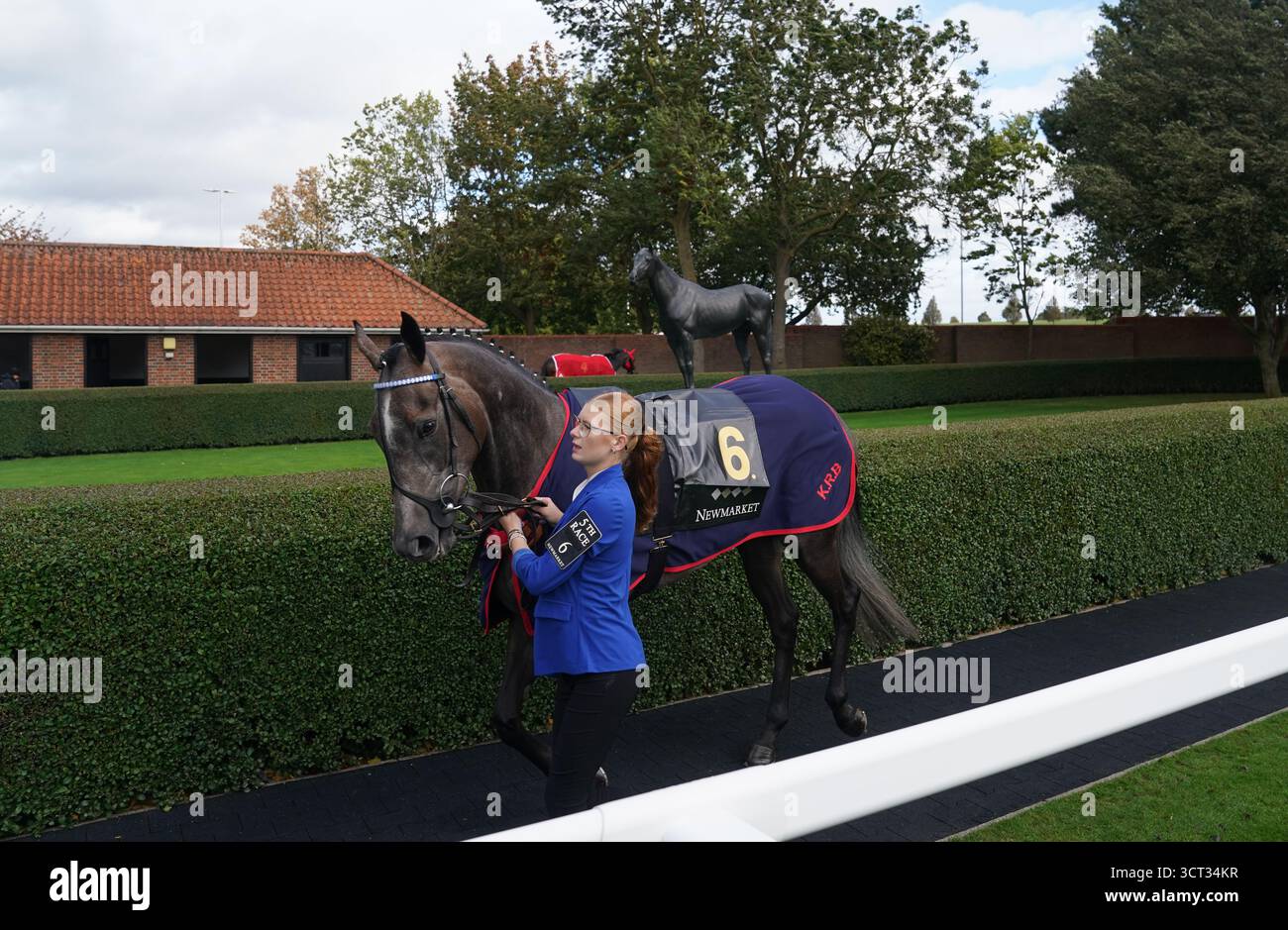 Alpine Oasis arriving at the pre-parade ring ahead of the British ...
