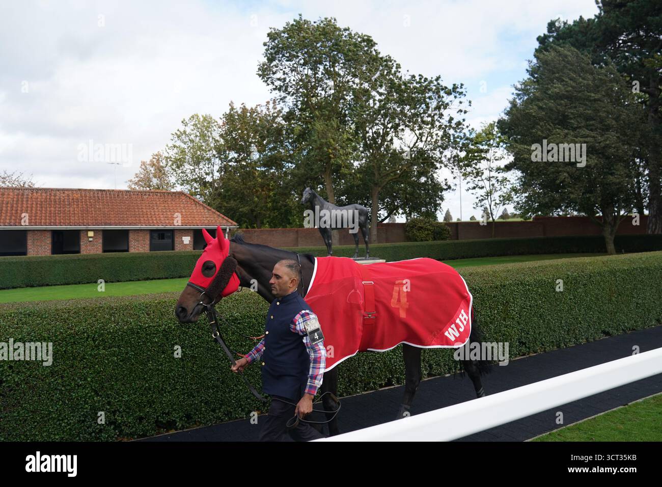 Horses arriving at the pre-parade ring ahead of the British Stallion ...