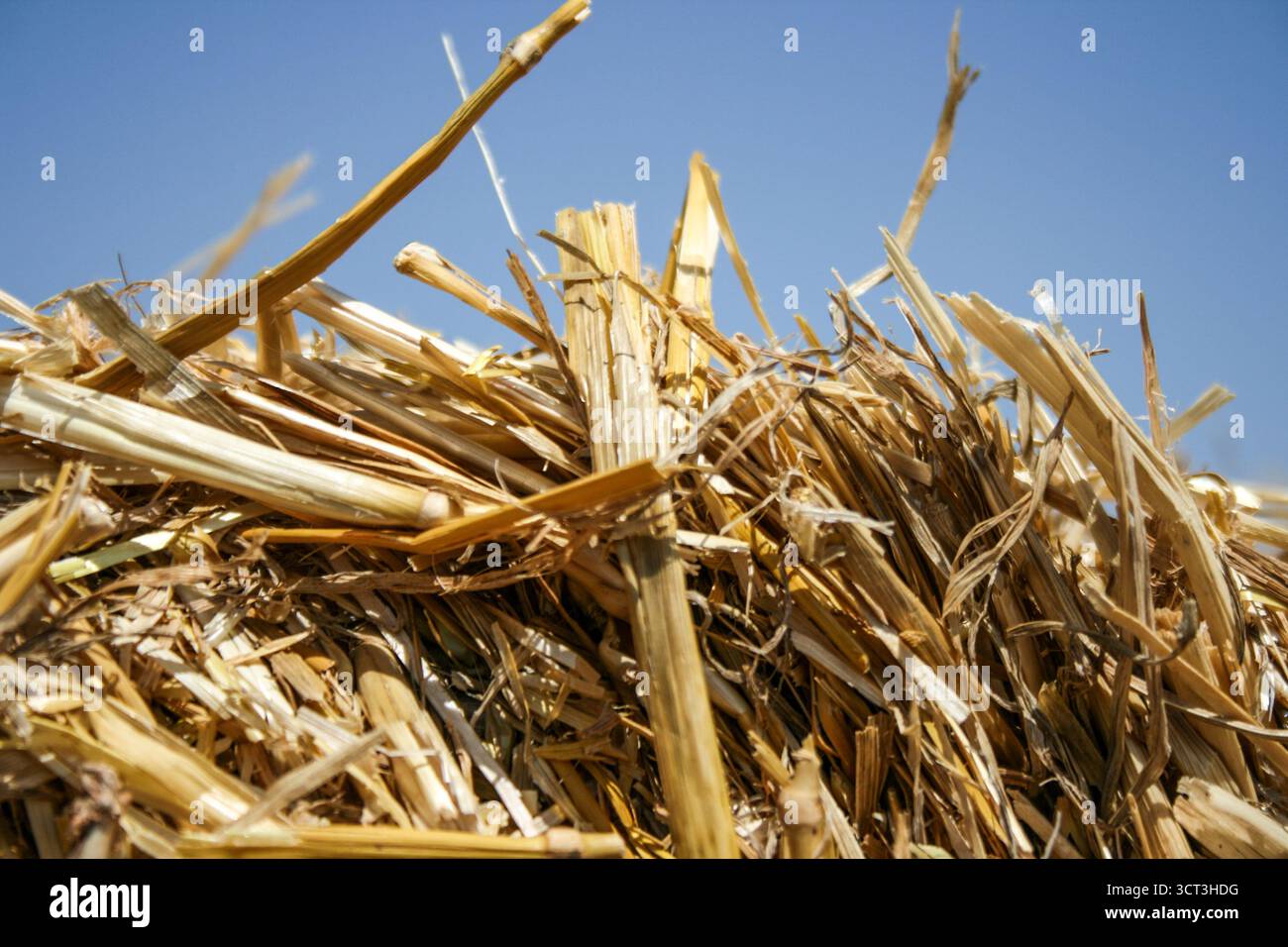 Golden Hay Bale Stock Photo - Alamy