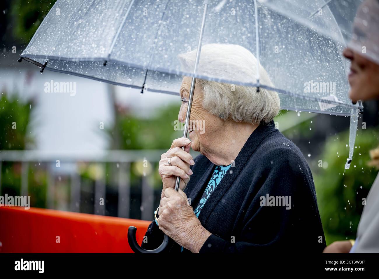 BAARN - Princess Beatrix will attend the sixth edition of the Princess ...