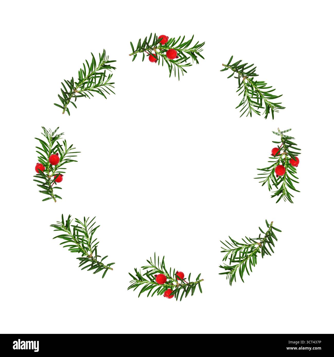 Christmas composition red berries Cut Out Stock Images & Pictures - Alamy