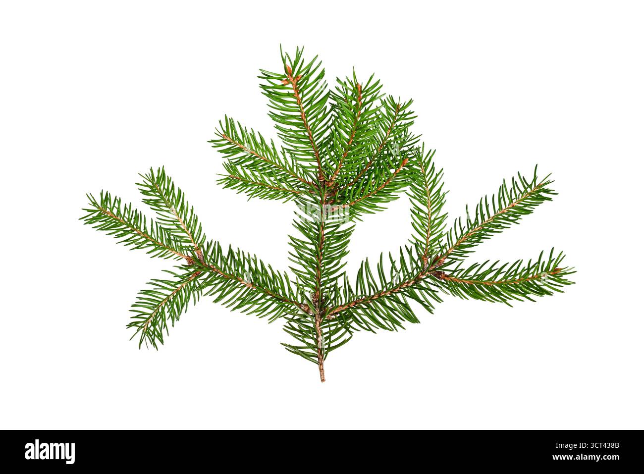 Festive holiday wreaths collection Cut Out Stock Images & Pictures - Alamy