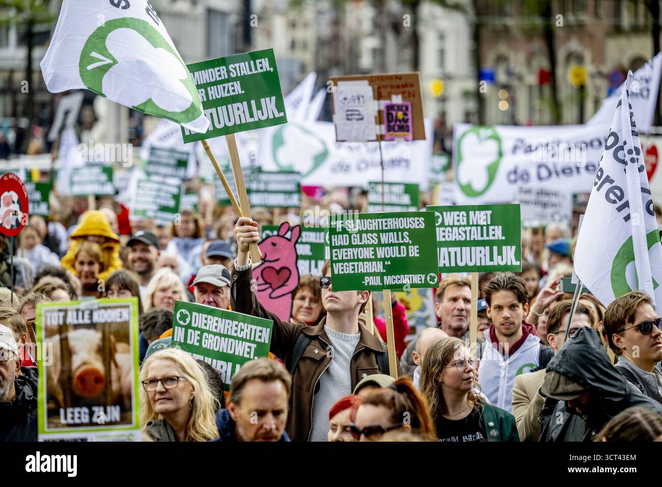 AMSTERDAM - A protest march for animals and against the livestock ...