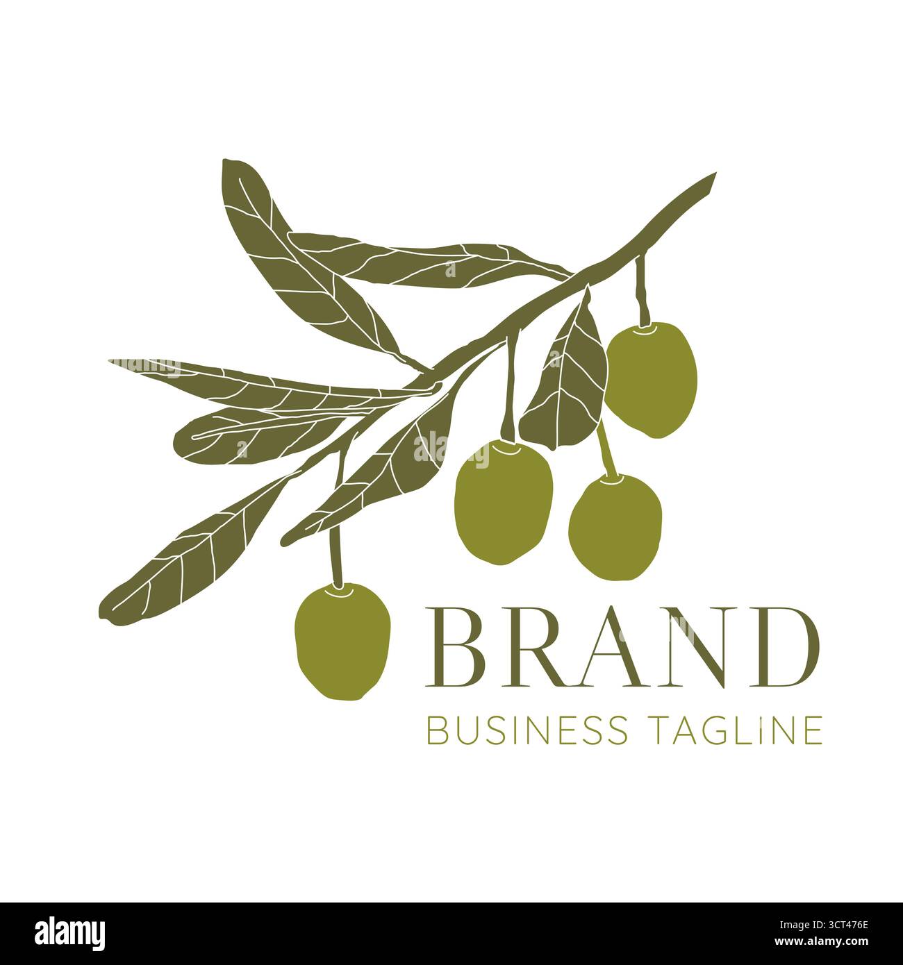 Olive Oil Brand Logo with Green Olives Branch Stock Vector Image & Art ...