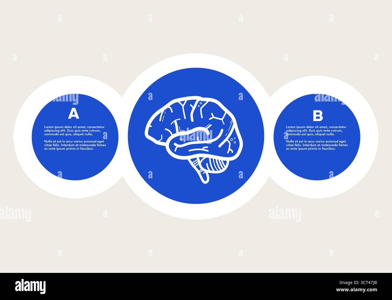 Hand-drawn brain in circles infographic, comparison a and b ...