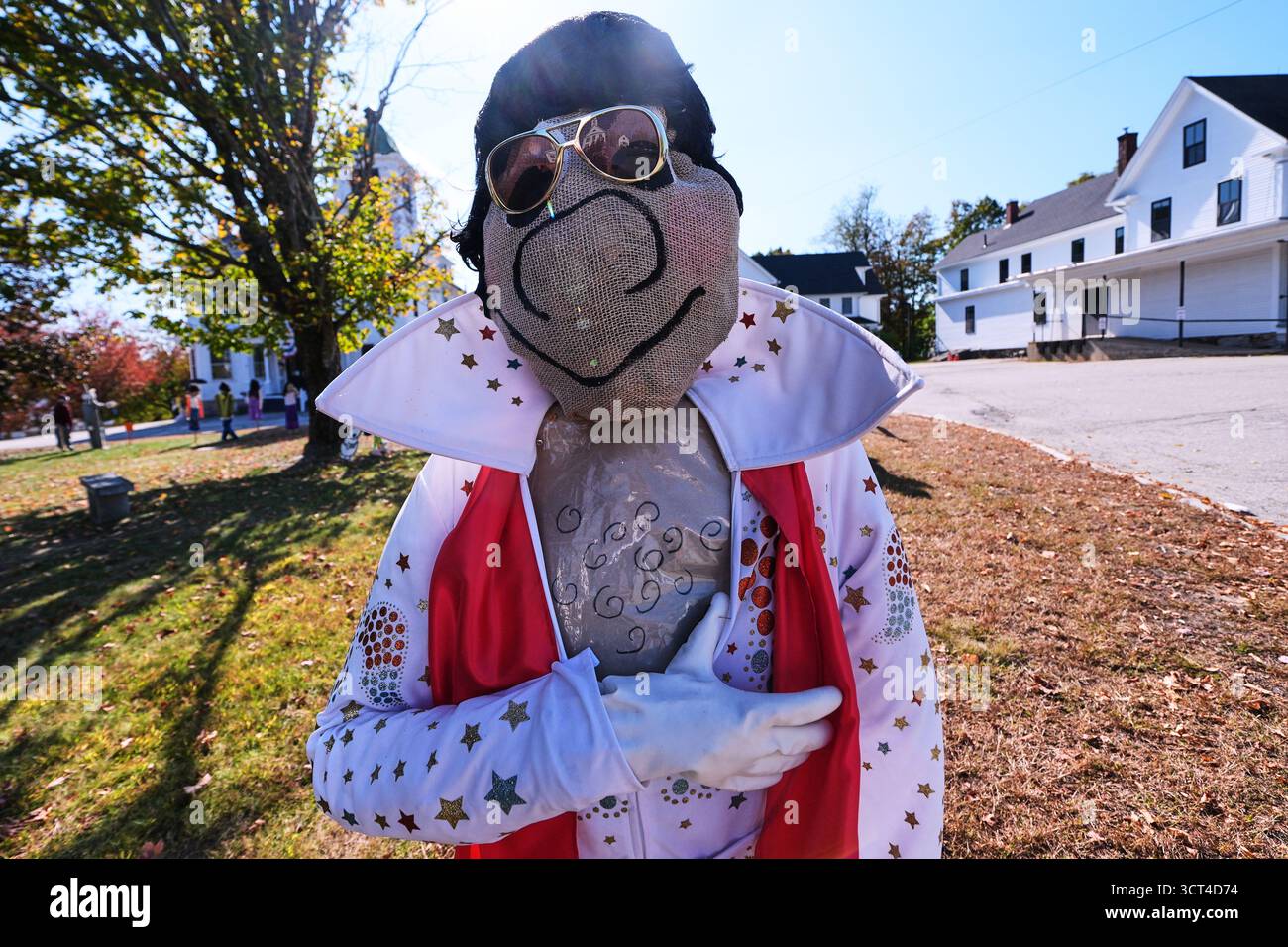 An Elvis Presley scarecrow, one of the hundreds on display, is seen in ...