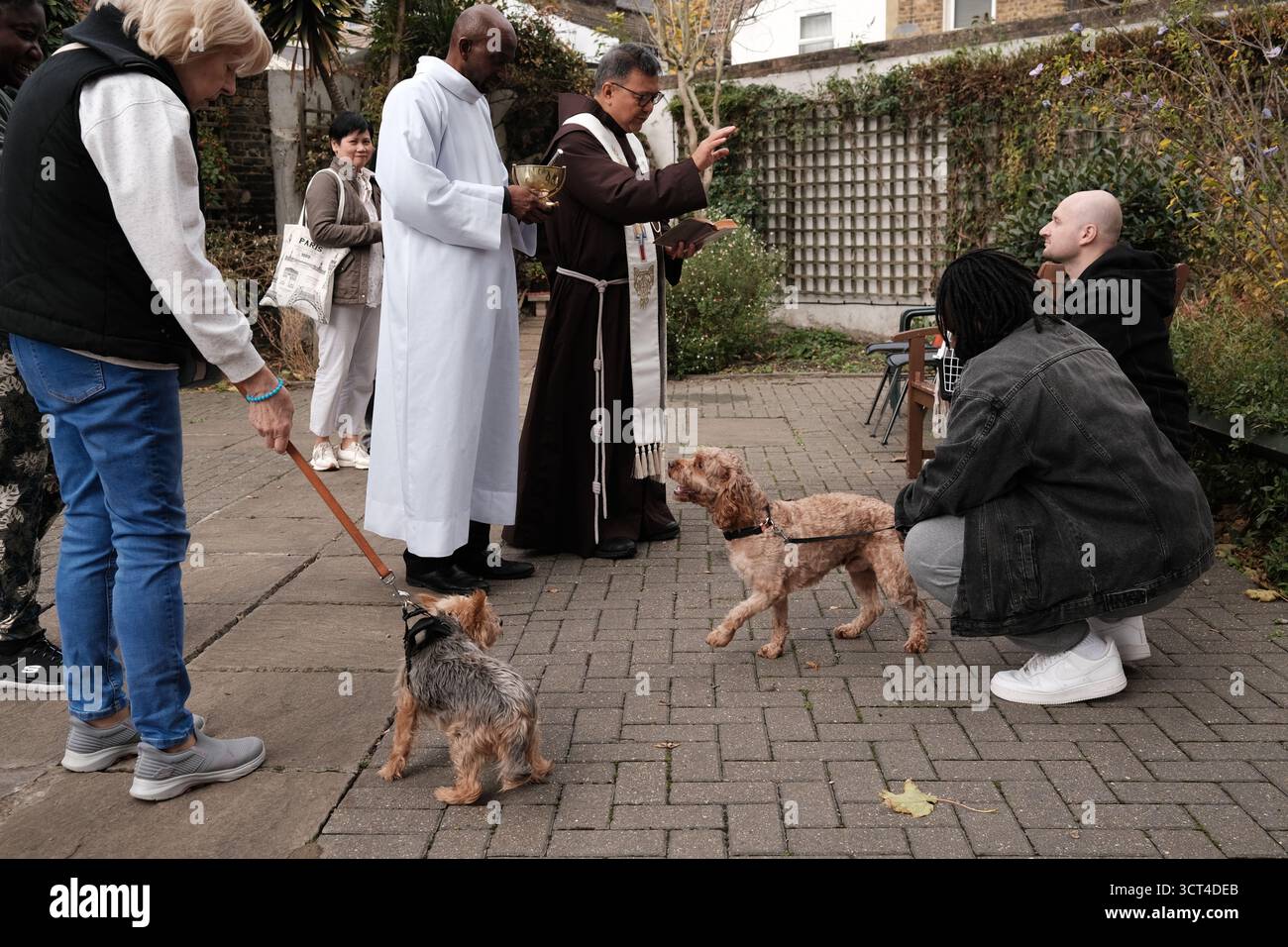 London, UK. 4th, October, 2025. A unique sight as animals belonging to ...