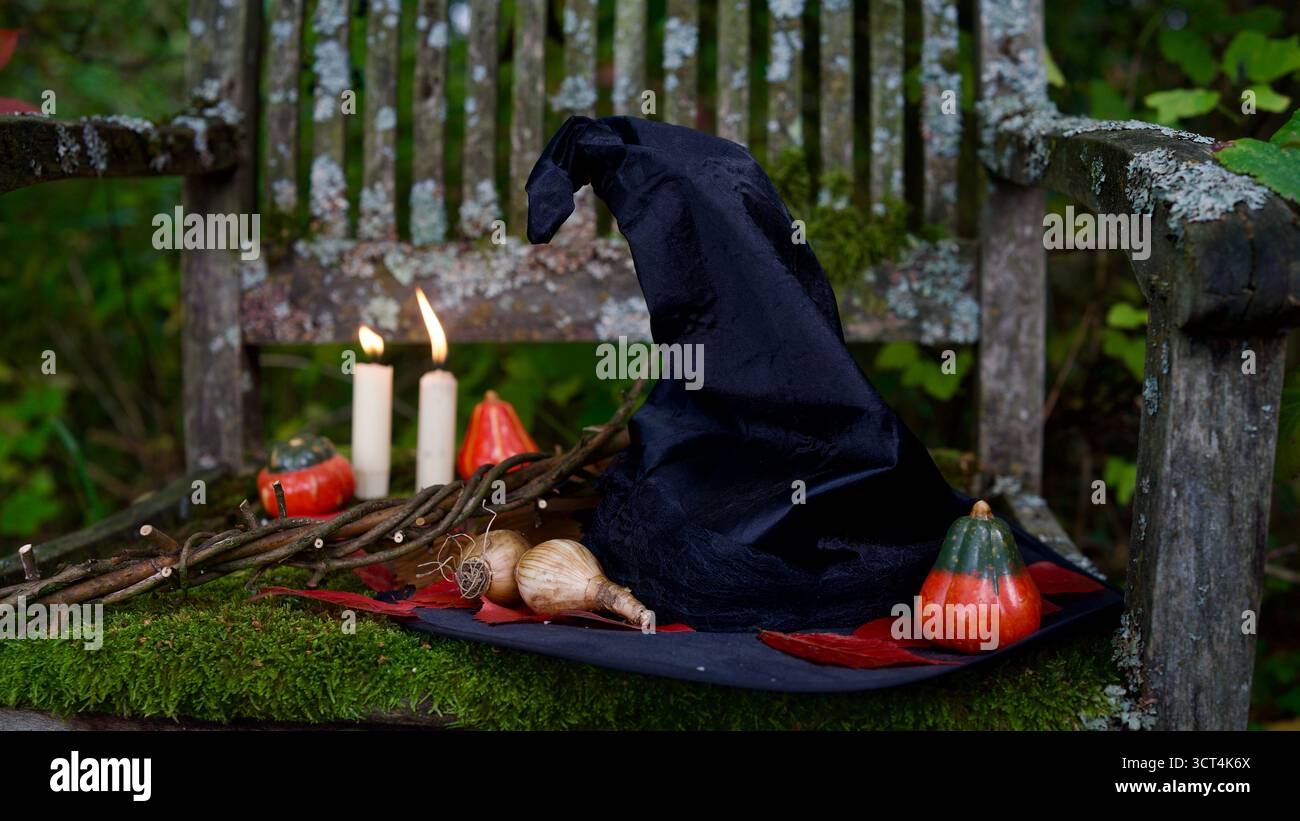 Flower bulbs, a witch hat Stock Photo - Alamy