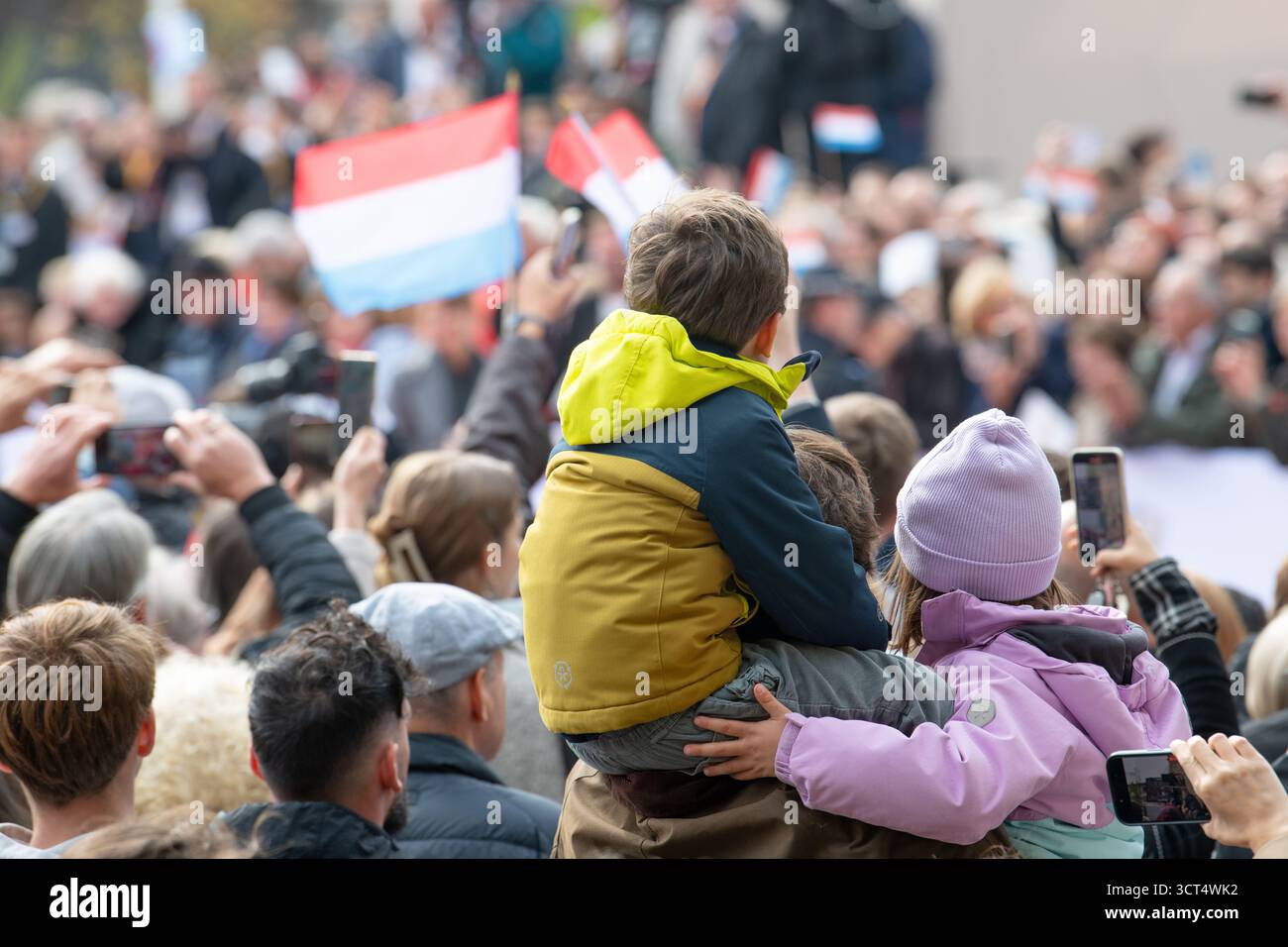 Crowd, Grand Ducal Palace, Celebration Of The Accession Of Grand Duke ...