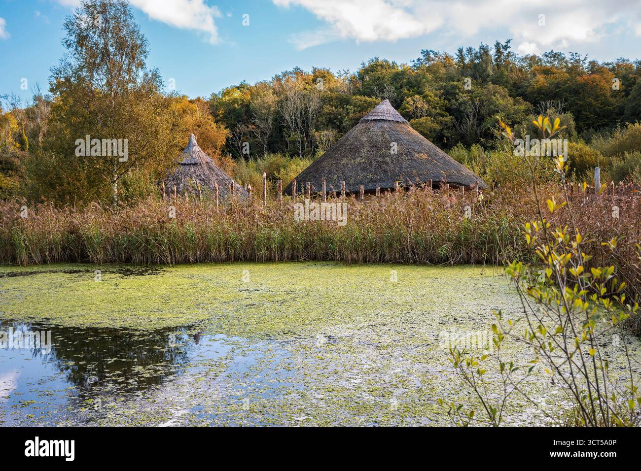 Early Viking settlement with thatched roundhouses across lake, duckweed ...