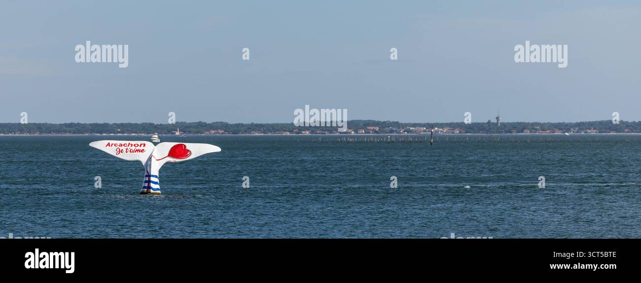 The Whale Tail sculpture by artist Emmanuel Janssens Casteels in the ...