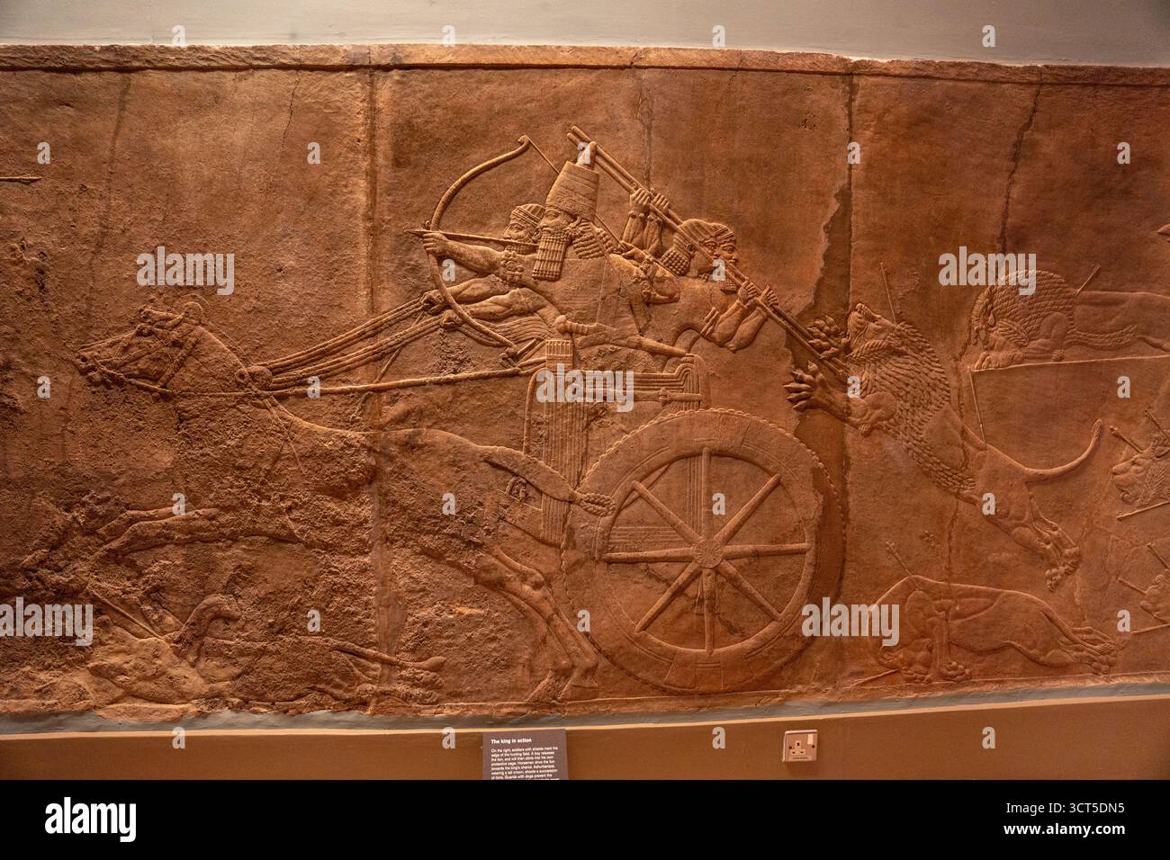 Assyrian Lion Hunt Relief, British Museum, London Stock Photo - Alamy