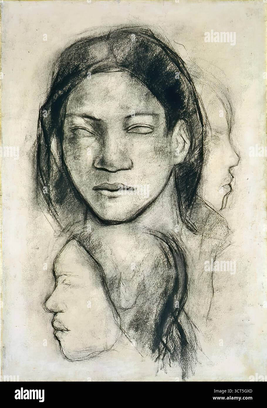 Realism study Stock Vector Images - Alamy