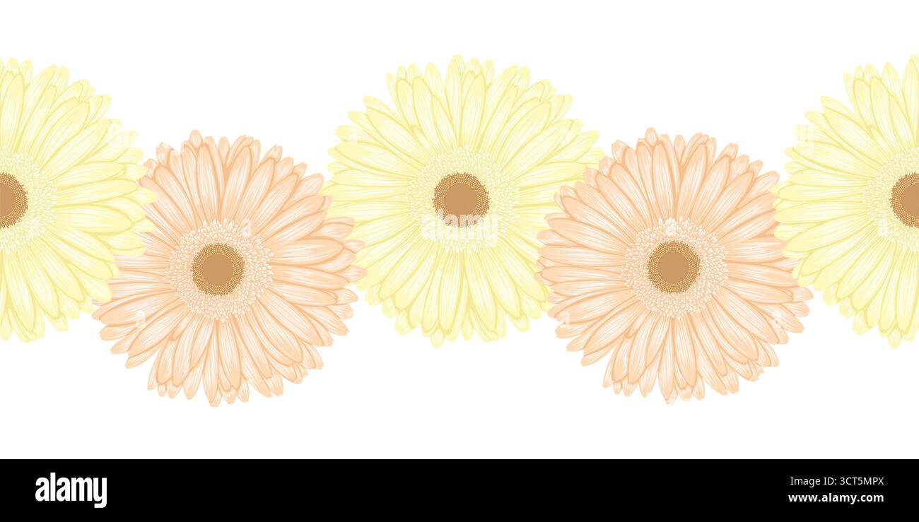 seamless horizontal frame element of gerbera flower Stock Vector Image ...