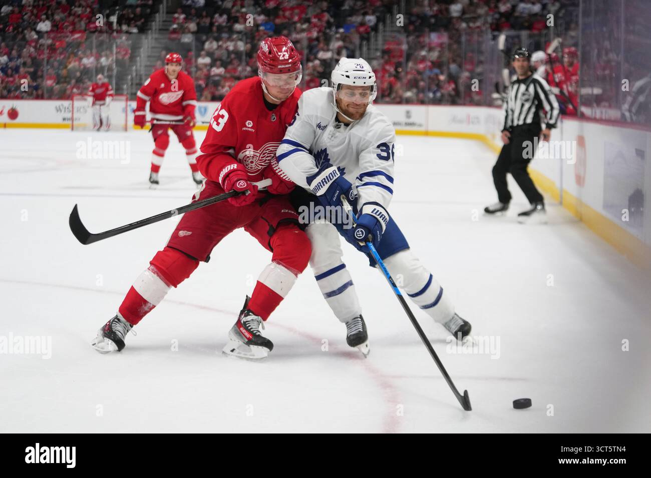 Detroit Red Wings left wing Lucas Raymond (23) and Toronto Maple Leafs ...