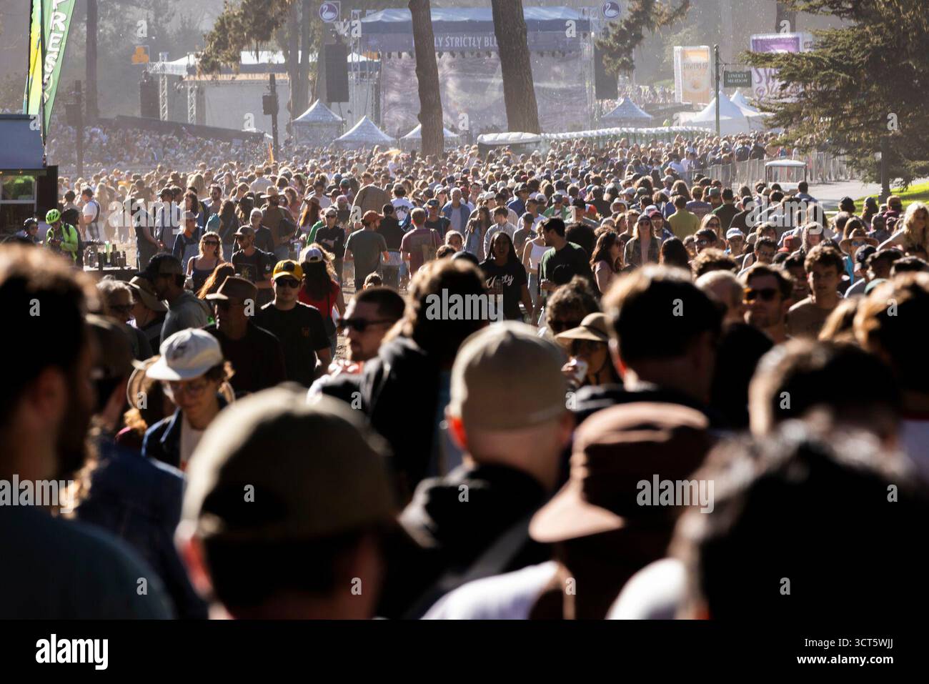 Fans attend the Hardly Strictly Bluegrass music festival on Saturday ...
