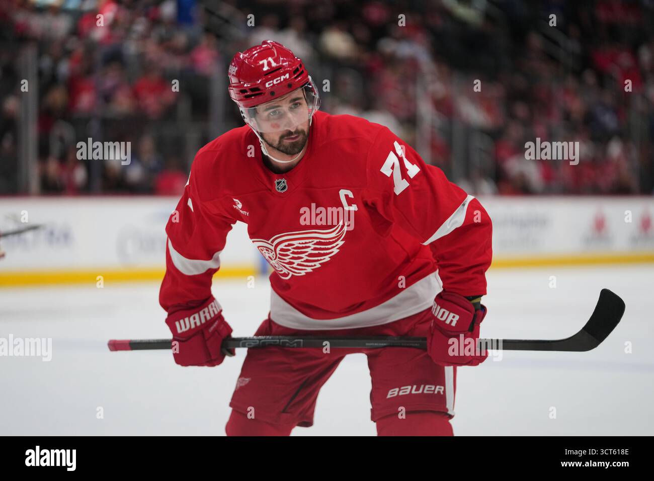 Detroit Red Wings center Dylan Larkin (71) plays against the Toronto ...