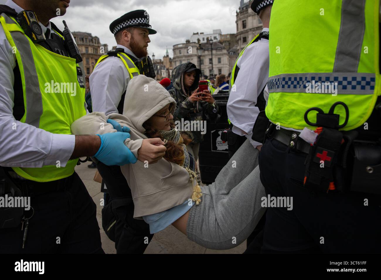 Metropolitan Police Officers arrest a Palestine Action supporter during ...