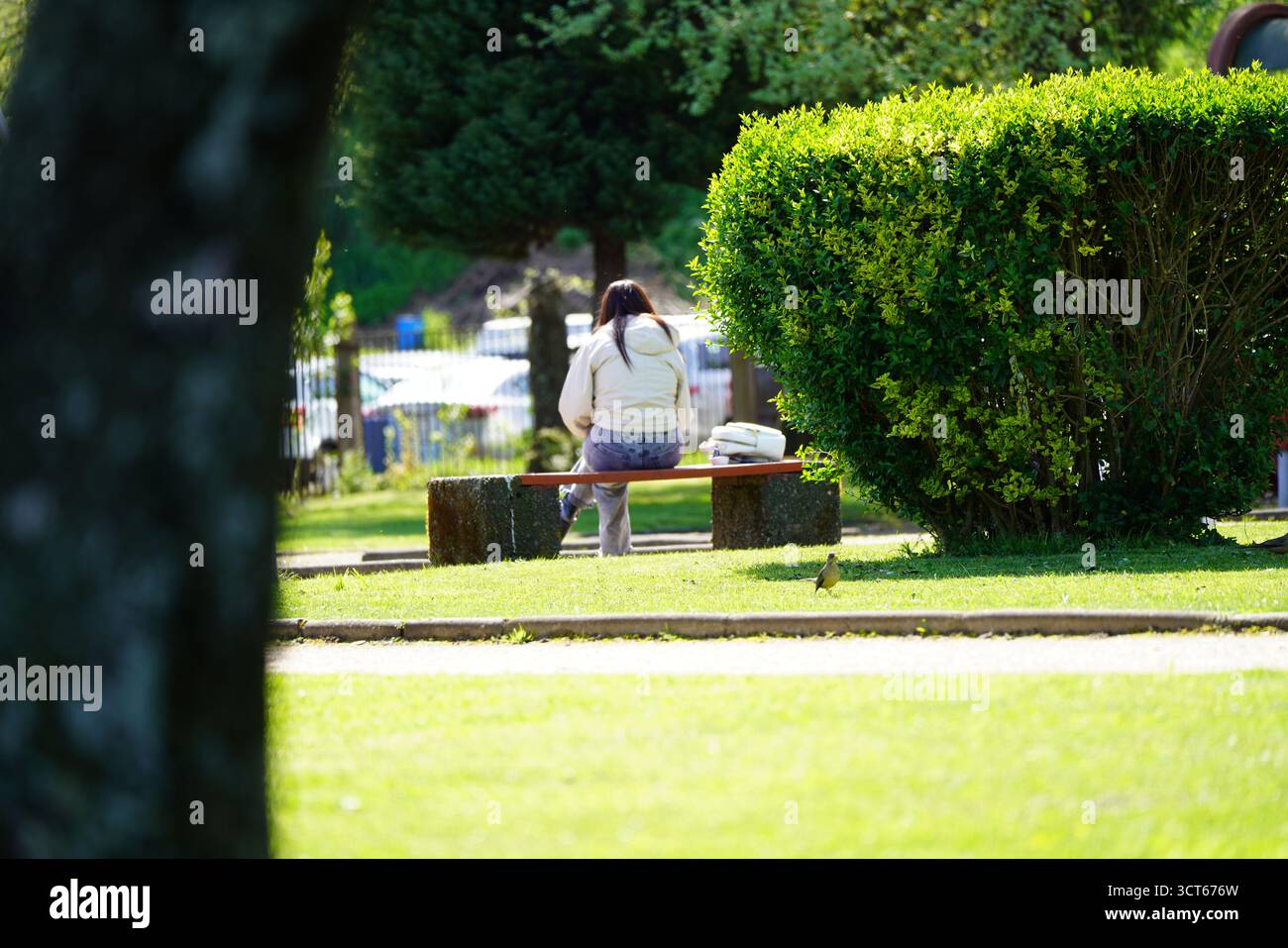 persona en una plaza descansando en hora de colación Stock Photo - Alamy