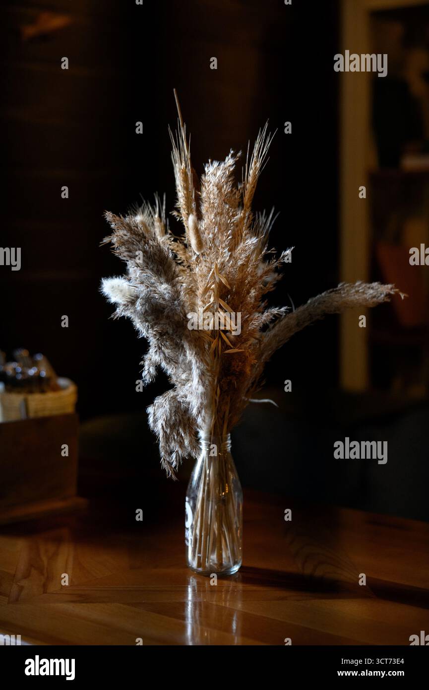 Still life with fluffy dried flowers in a bottle in a cafe interior ...