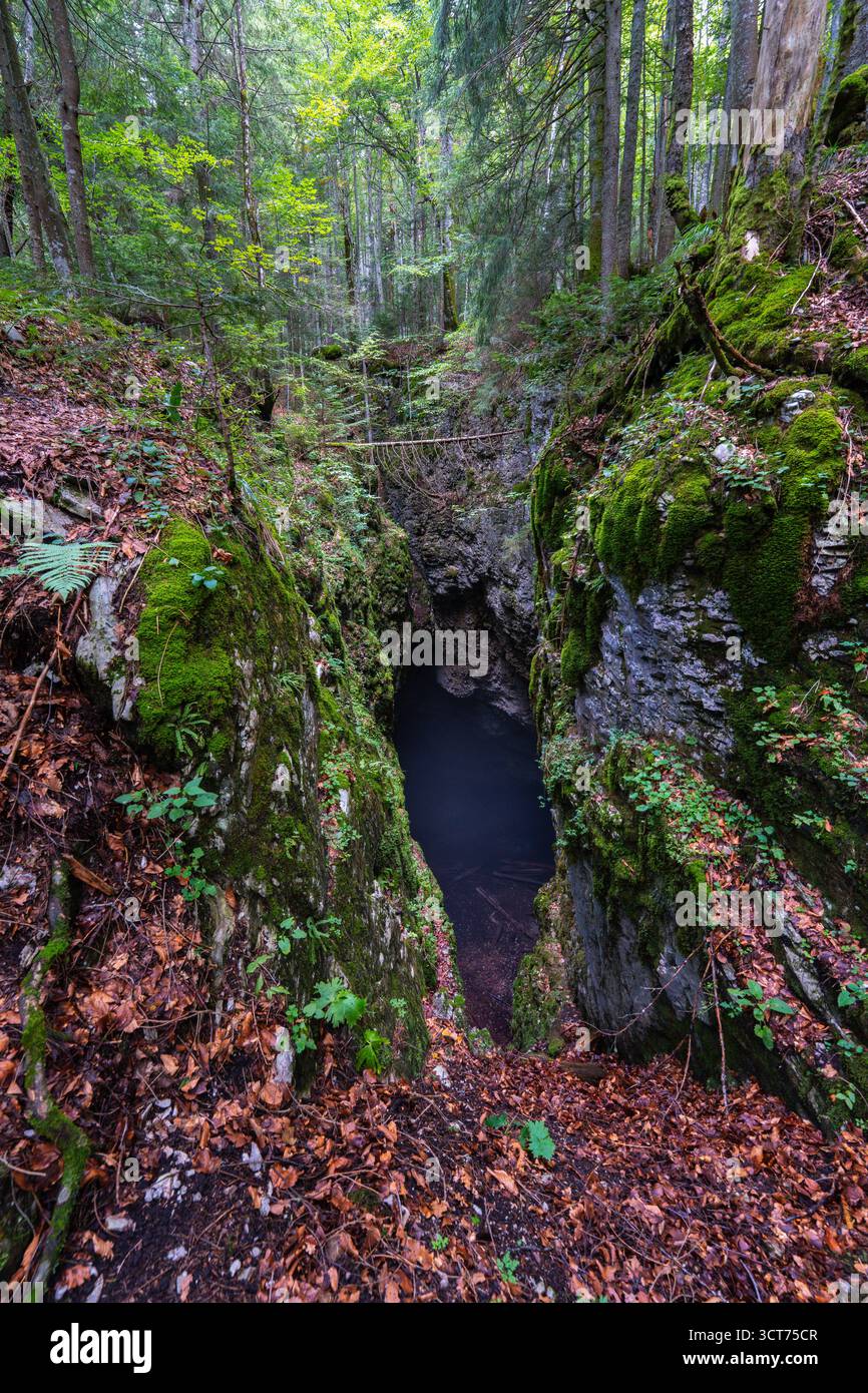 Dark cave entrance surrounded hi-res stock photography and images - Alamy