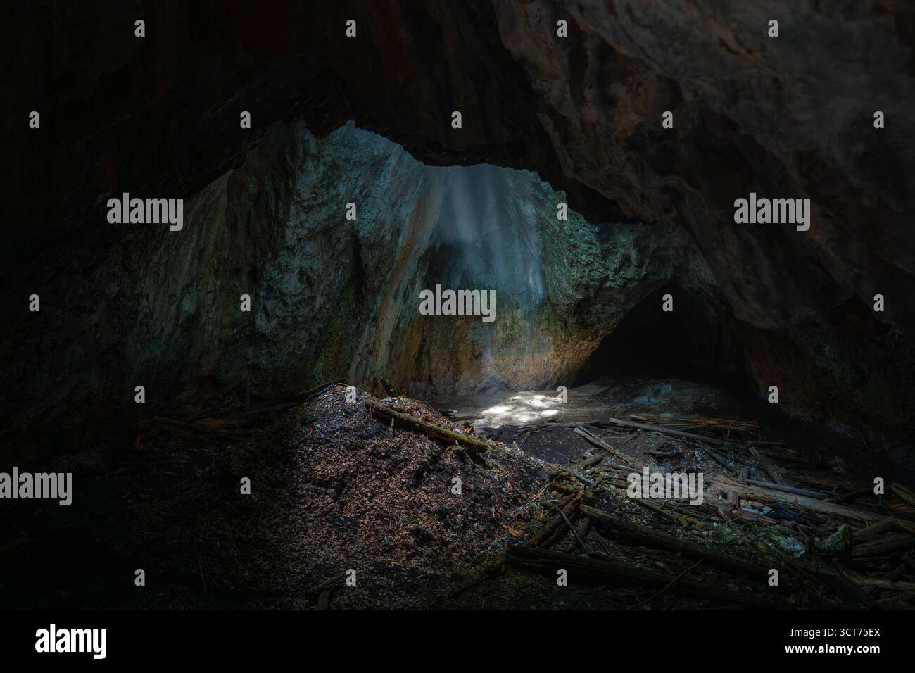 Sunlight beams penetrate the entrance of Ghetarul Focul Viu cave ...