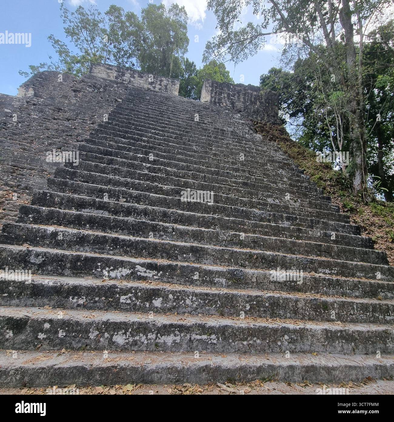 Tikal archaeological site, Ancient Mayan City Guatemala Stock Photo - Alamy