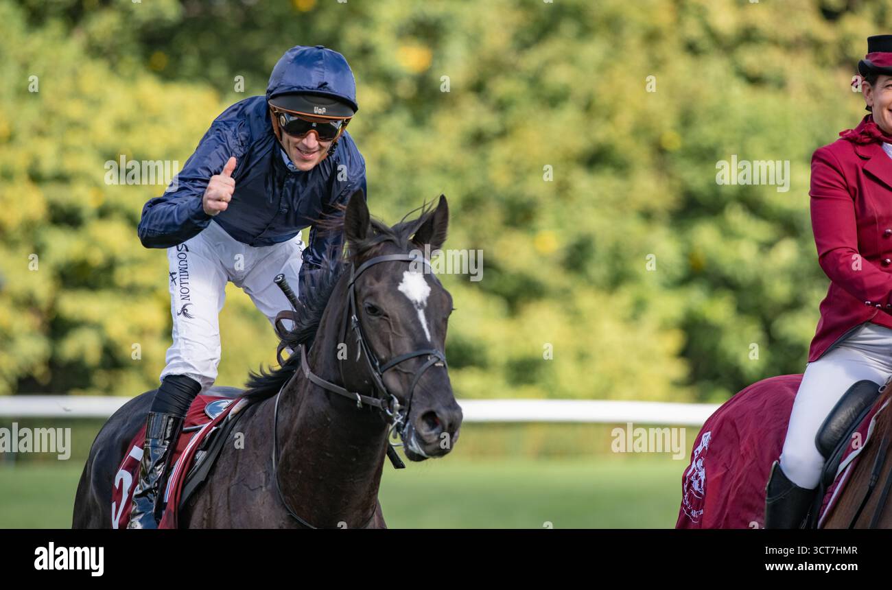 Puerto rico horse longchamp hi-res stock photography and images - Alamy