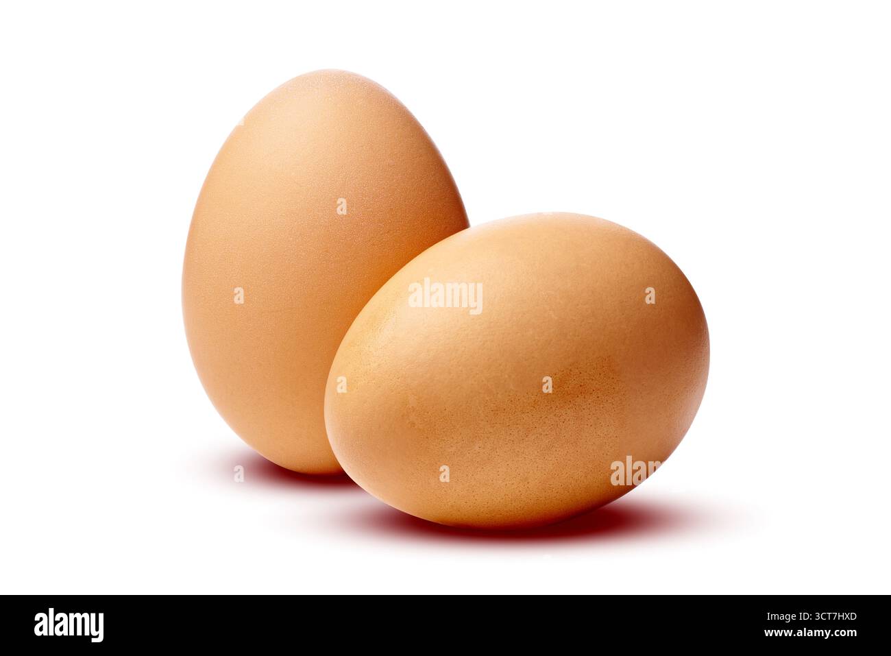 Fresh Brown Eggs Arranged on a Bright White Background Perfect for ...