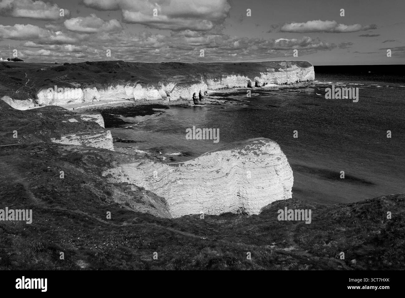 The Chalk cliffs at Flamborough Head, East Riding of Yorkshire, England ...