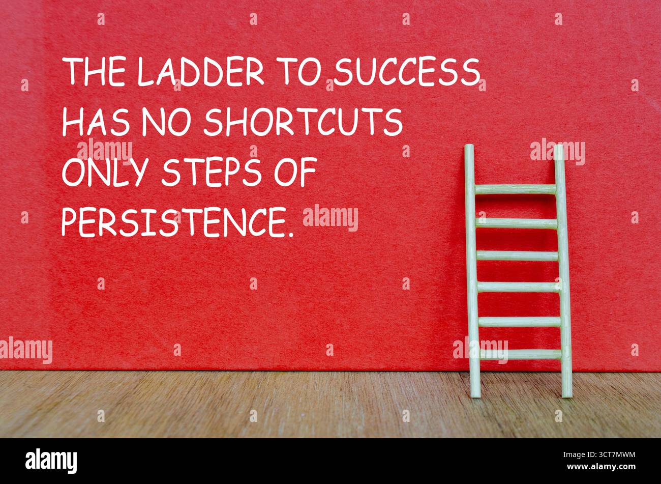 THE LADDER TO SUCCESS HAS NO SHORTCUTS ONLY STEPS OF PERSISTENCE text ...