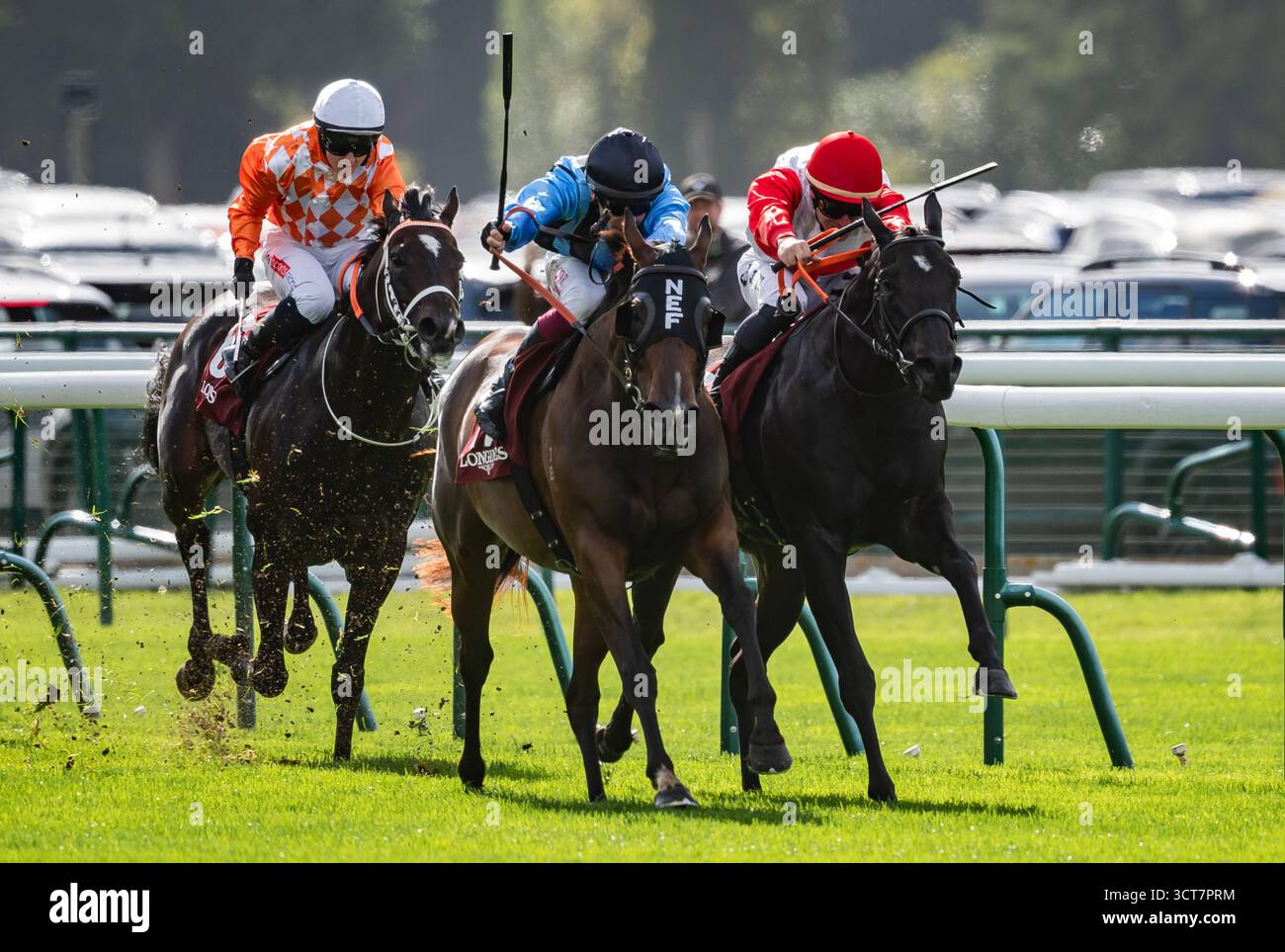 Henry dwyer trainer hi-res stock photography and images - Alamy