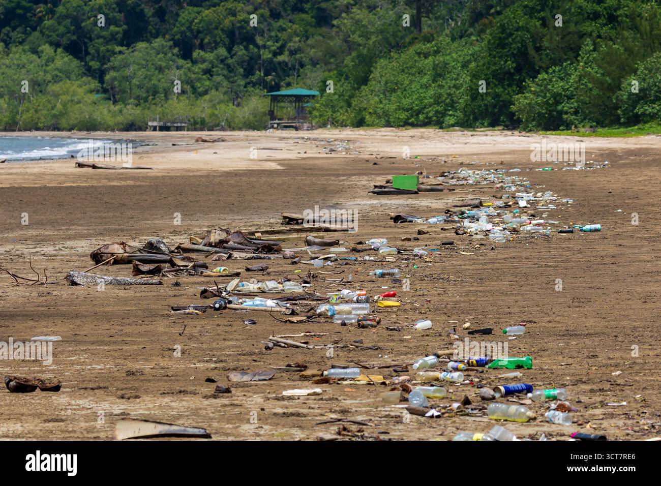 Washed up garbage and plastic rubbish spoiling a remote jungle ...