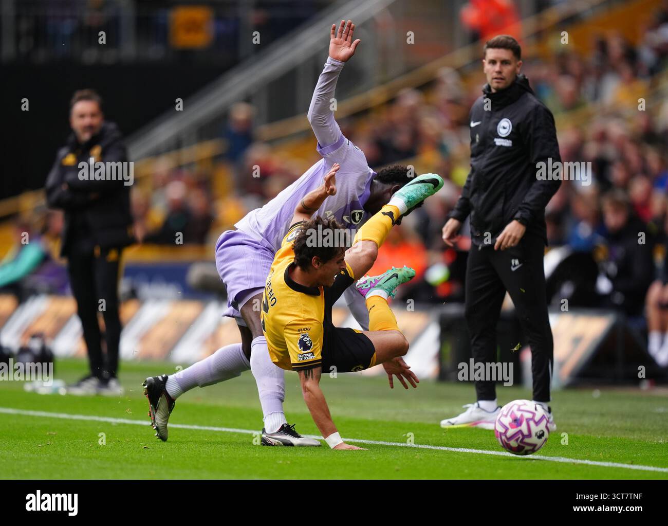 Brighton and Hove Albion's Carlos Baleba (left) and Wolverhampton ...