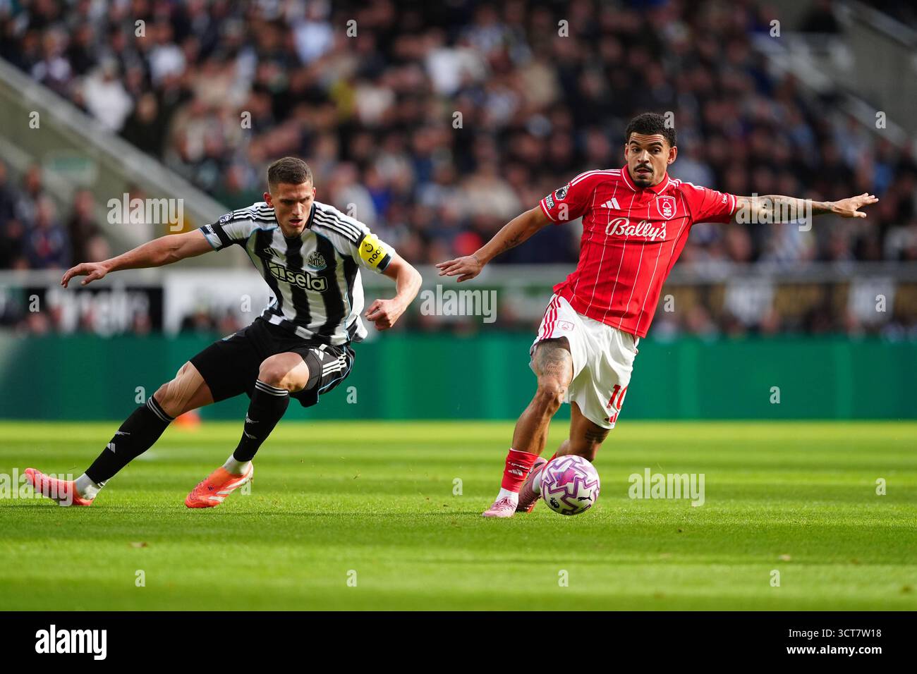 Newcastle United's Sven Botman and Nottingham Forest's Morgan Gibbs ...