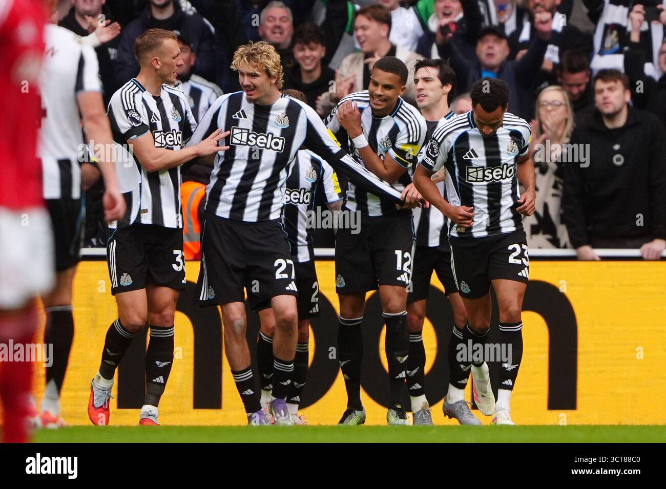 Newcastle United's Nick Woltemade celebrates after scoring their side's ...
