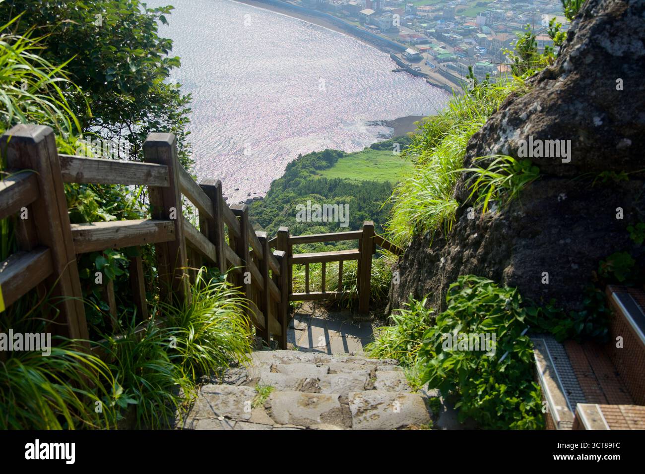 Elevated grassy coast wooden hi-res stock photography and images - Alamy