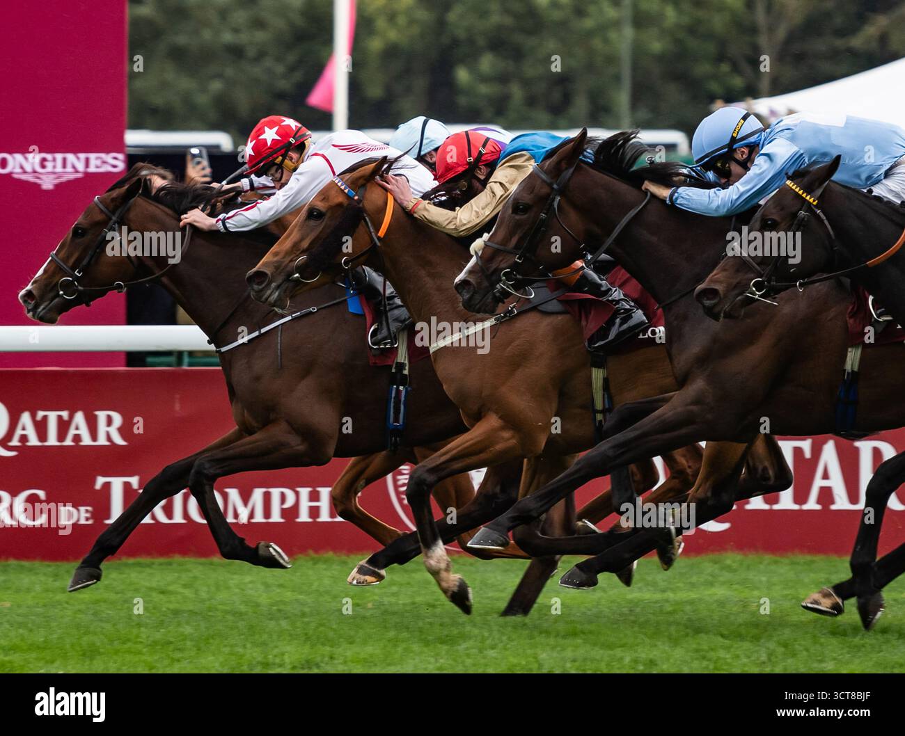 Barnavara horse longchamp hi-res stock photography and images - Alamy