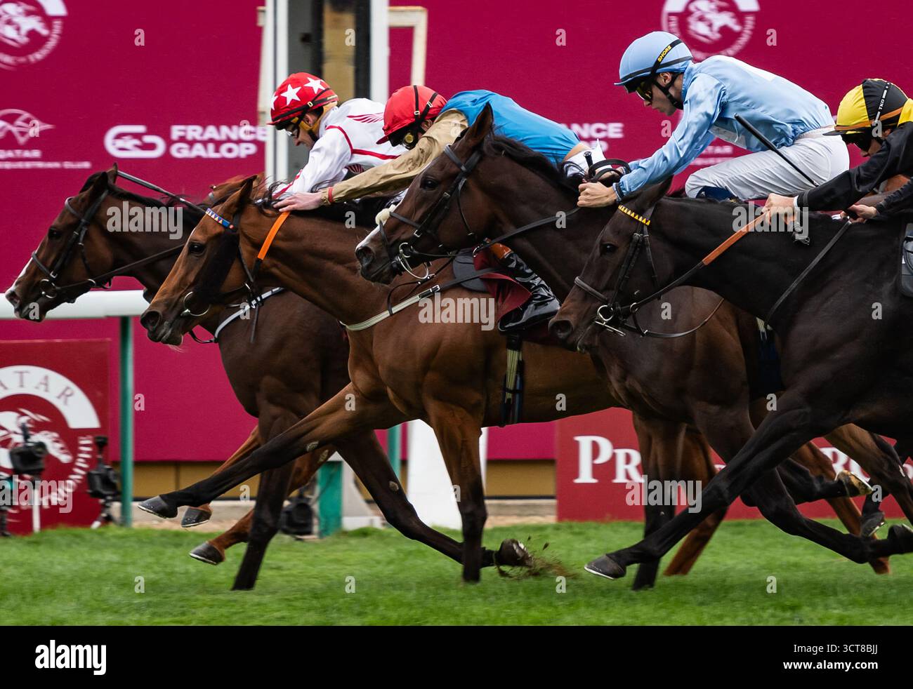 Barnavara horse longchamp hi-res stock photography and images - Alamy