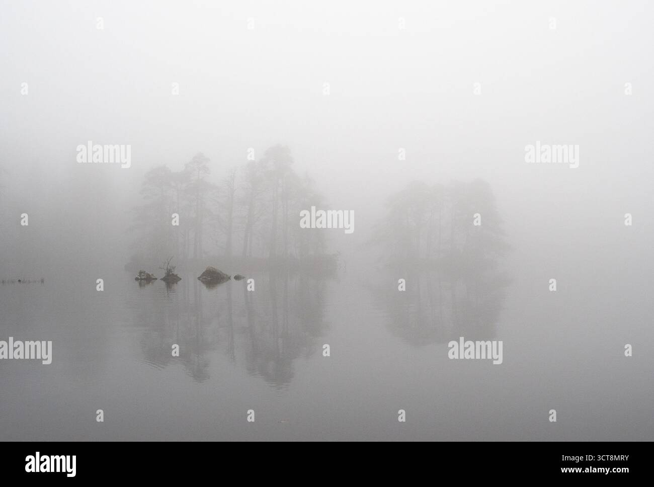 Misty lake with rocks and trees shrouded in fog creating ethereal ...