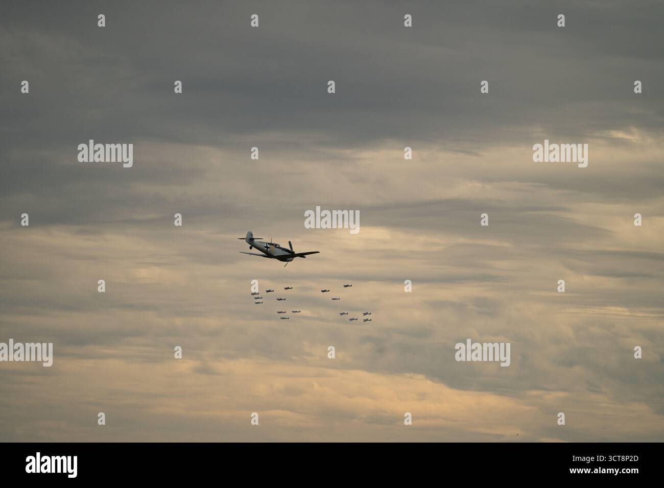 Historic fighter aircraft with flock of birds against dramatic cloudy ...