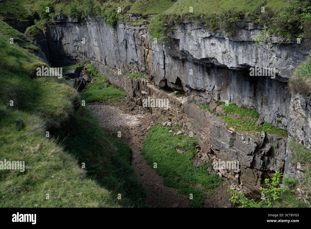 Limestone quarry with exposed rock face and green vegetation in ...