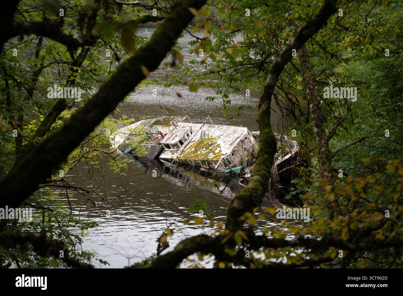Derelict boat hi-res stock photography and images - Alamy